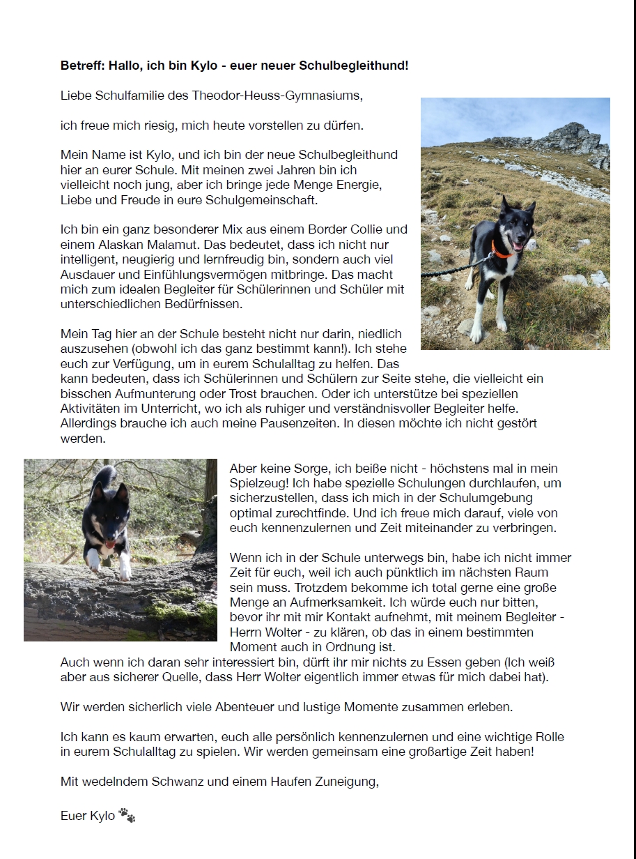 Schulhund Kylo stellt sich vor – Theodor-Heuss-Gymnasium Essen